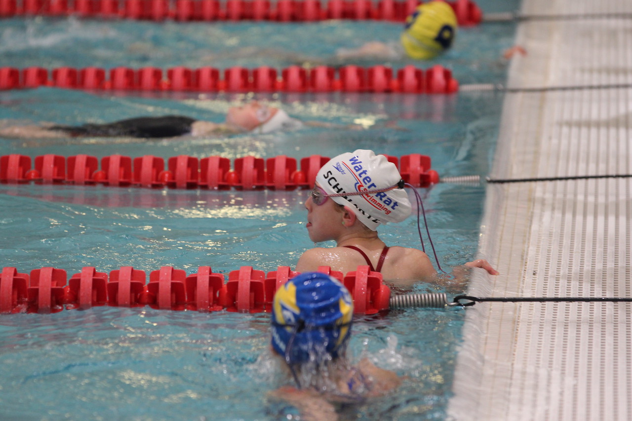 Westport Weston Family YMCA | Town Invitational Swim Meet - Westport ...